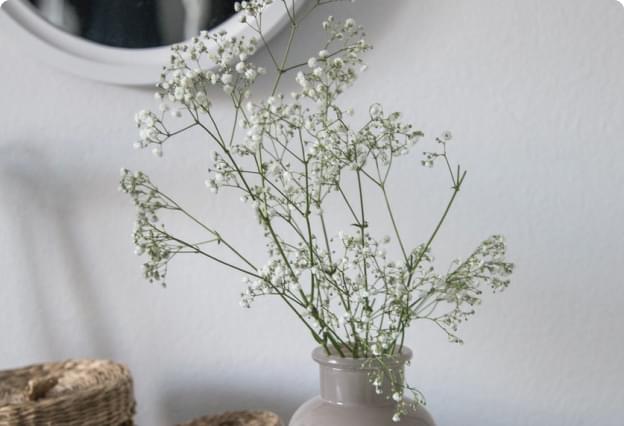 SitDownPls - Главная страница